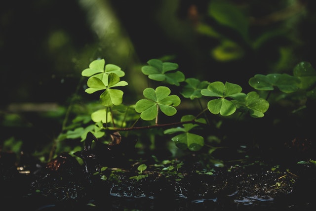 5 High-scoring IELTS Idioms About Luck | All Ears English Podcast